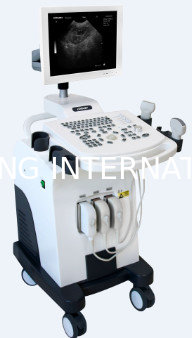 Middle-end Trolley BW Veterinary Ultrasound Scanner